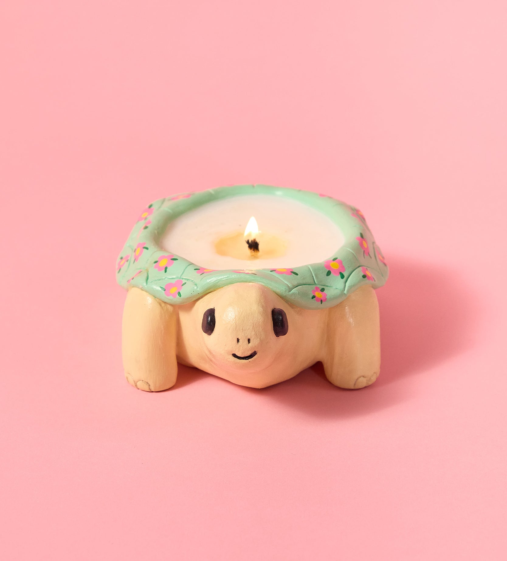 Ted the Turtle – Pott'd US